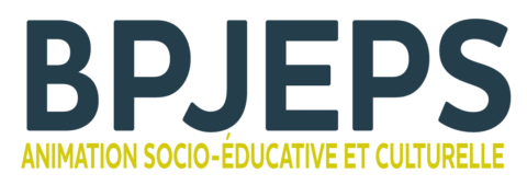 BPJEPS ASEC : Animation Socio-Éducative et Culturelle - eccg53.fr